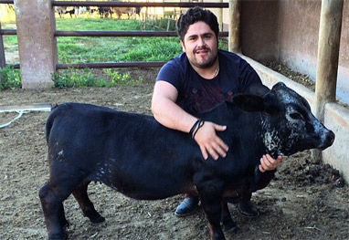 César Menotti posa com mini boi e pede ajuda para dar nome ao bovino ...