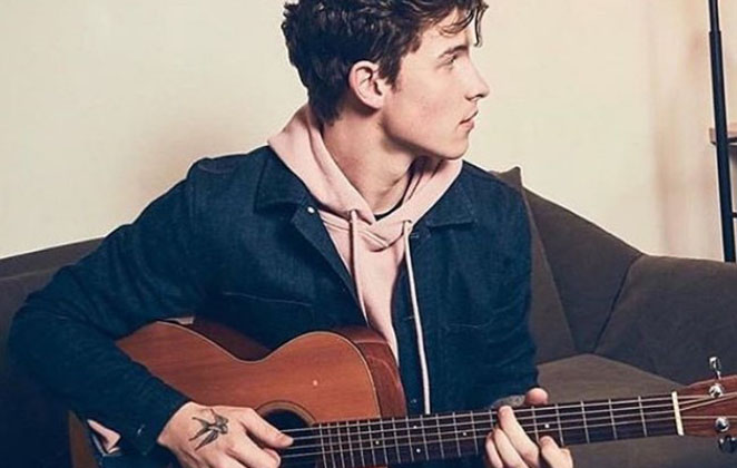 Shawn Mendes cai do palco em show no Canadá - OFuxico