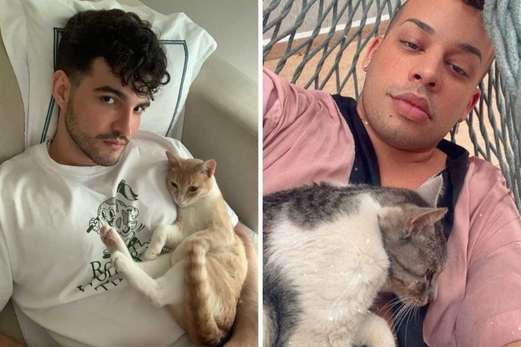 Dia do Gato na América! Famosos do Brasil que curtem felinos de montão