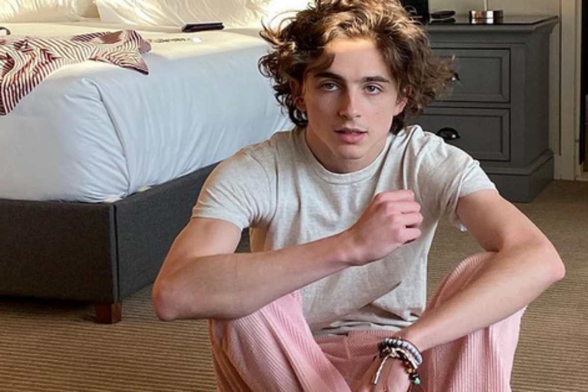 Timothée Chalamet faz revelações sobre o filme Wonka
